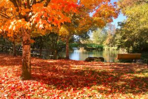 Fall Bucket List: 13 Ways to Celebrate Autumn in Grants Pass ...