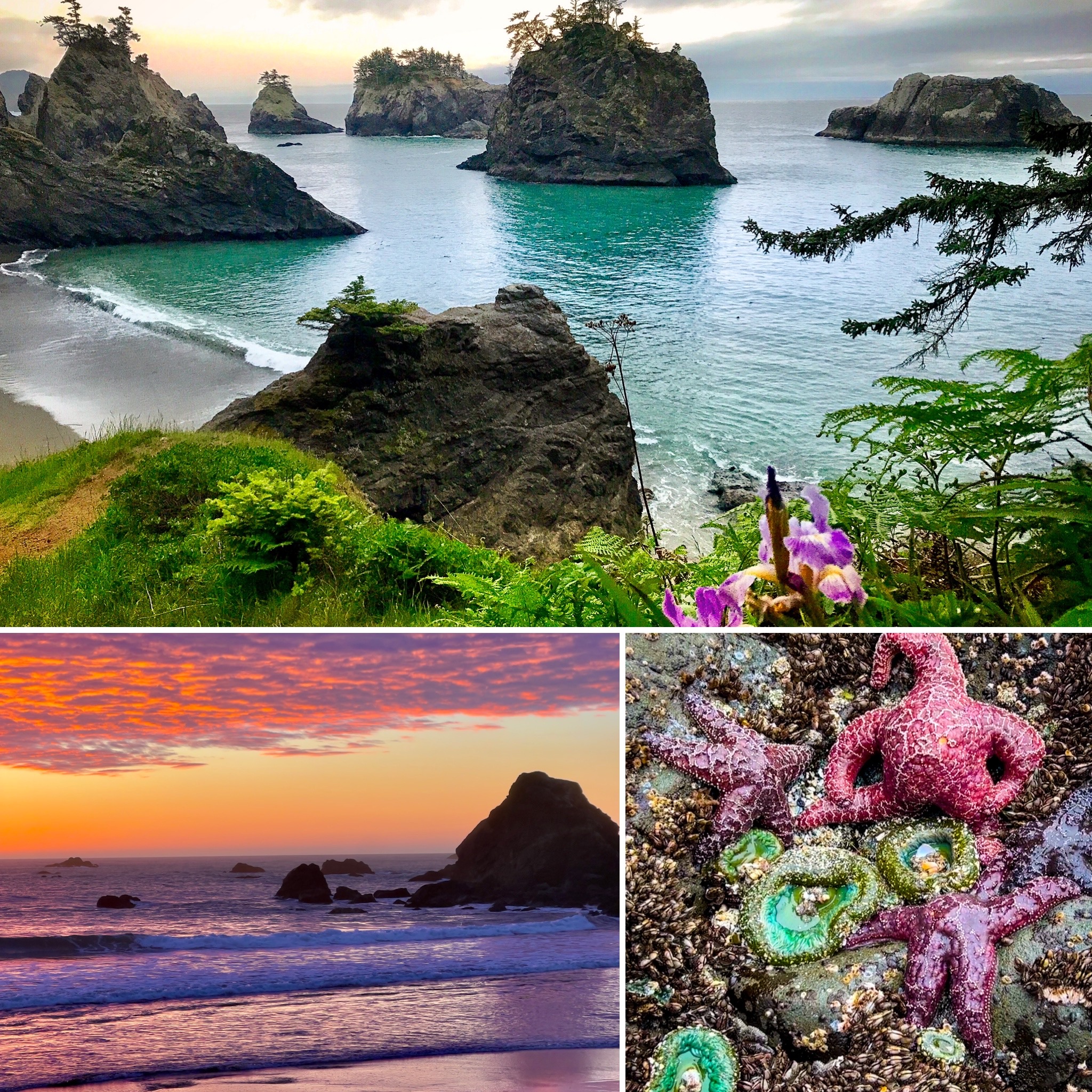 Epic Day Trips Around Grants Pass - VisitGrantsPass