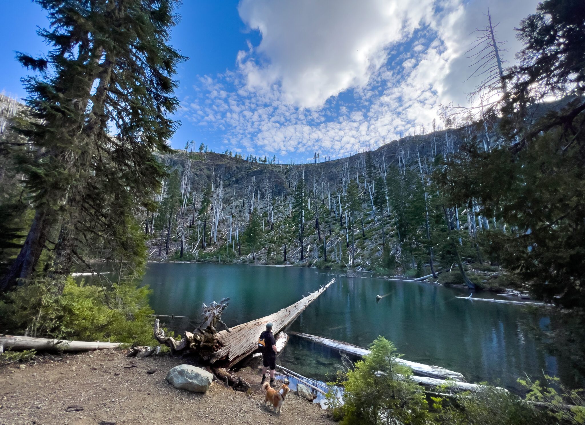 Experience the Magic of Oregon Caves National Monument - VisitGrantsPass